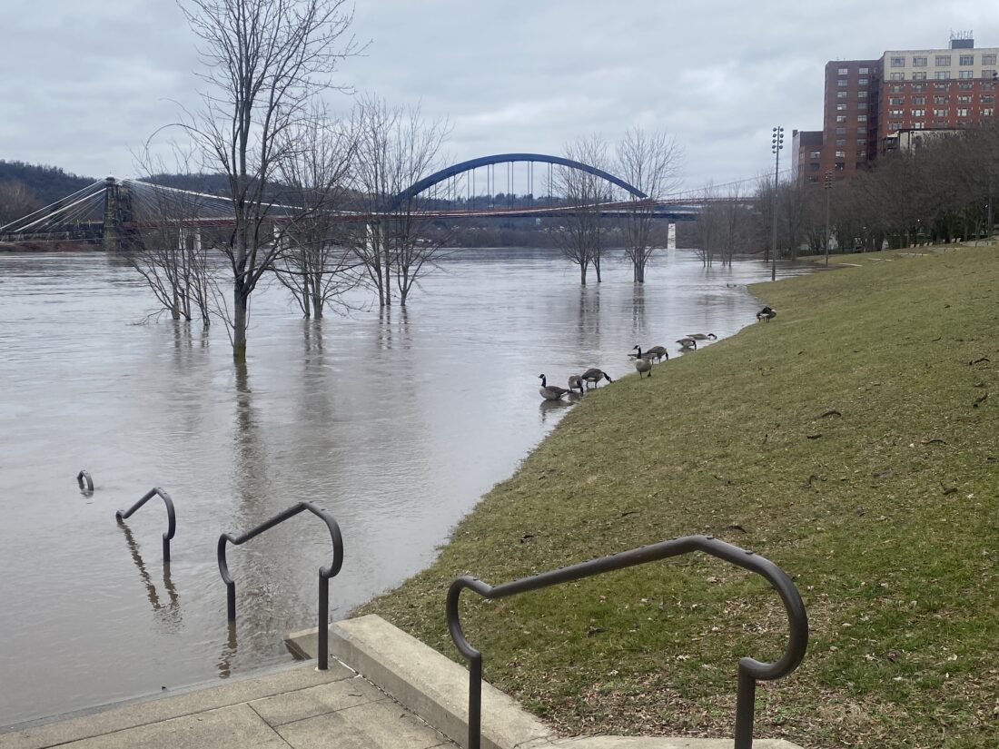 Ohio River Crests Below Flood Stage Following Heavy Rain | News, Sports ...